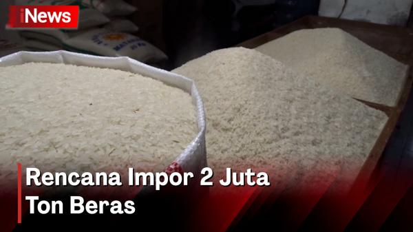 Kelangkaan Beras, Pemerintah akan Impor 2 Juta Ton dari Thailand