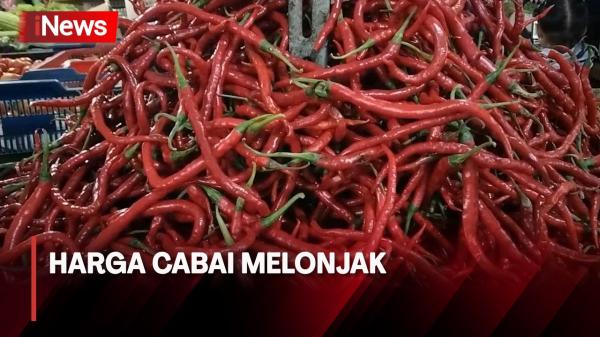 Harga Cabai di Tigaraksa Tangerang Semakin Pedas, Tembus Rp100 Ribu per Kg