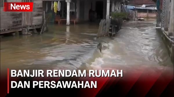 Banjir Rendam Ratusan Rumah dan Persawahan di Muarojambi, Jambi