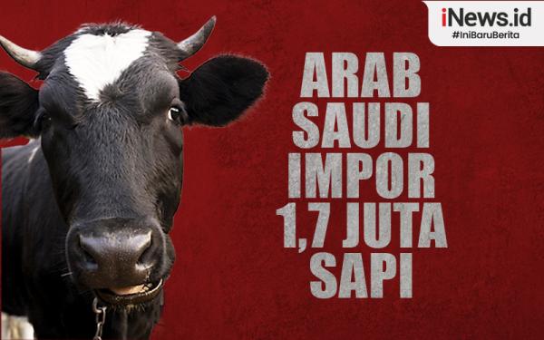 Infografis Arab Saudi Impor 1,7 Juta Sapi