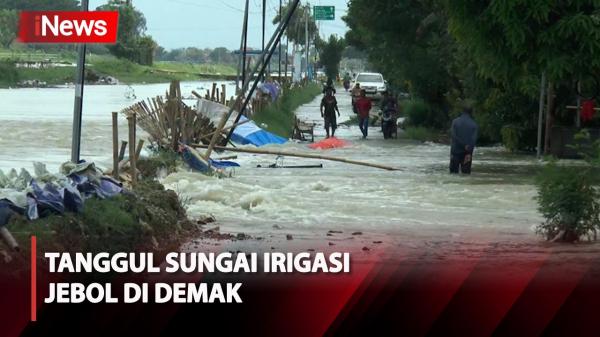 Tanggul Sungai Irigasi di Demak Jebol usai Diperbaiki, Banjir Terjang Permukiman Warga