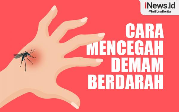 Infografis Kasus DBD di Indonesia Naik, Berikut Cara Mencegahnya