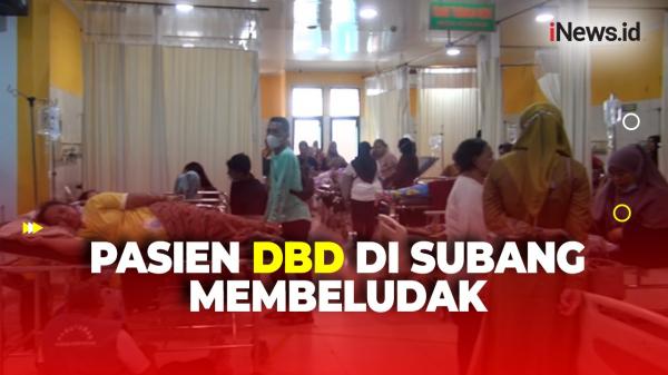 Gawat, Pasien DBD di RSUD Subang Membeludak Gawat, Pasien DBD di RSUD Subang Membeludak