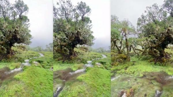 Viral, Lembah Lohe di Sulawesi Selatan Sering Dikira Luar Negeri ...