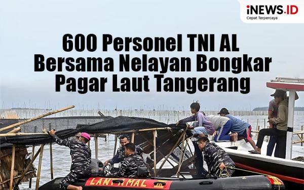 Infografis 600 Personel TNI AL Bersama Nelayan Bongkar Pagar Laut 30 Km di Tangerang