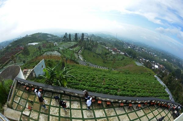 Keindahan Panorama Alam Lereng Gunung Sumbing