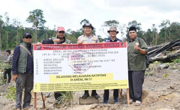 Polisi Ungkap Modus 4 Tersangka Perambah Hutan Lindung jadi Kebun Sawit di Riau