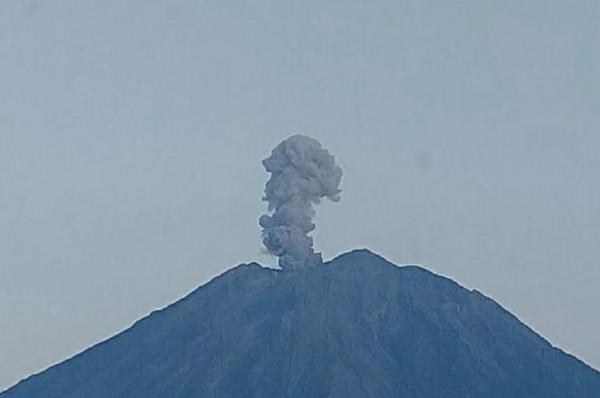 Gunung Semeru Erupsi Hari Ini, Semburkan Abu Vulkanik 7 Kali dalam 12 Jam
