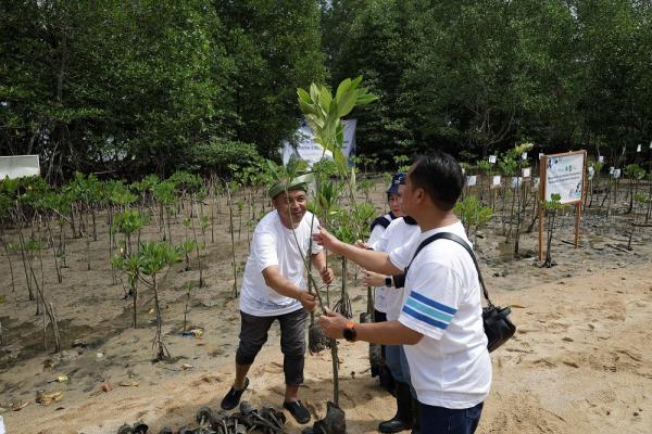 Aksi Penanaman 3.000 Bibit Mangrove di Batam