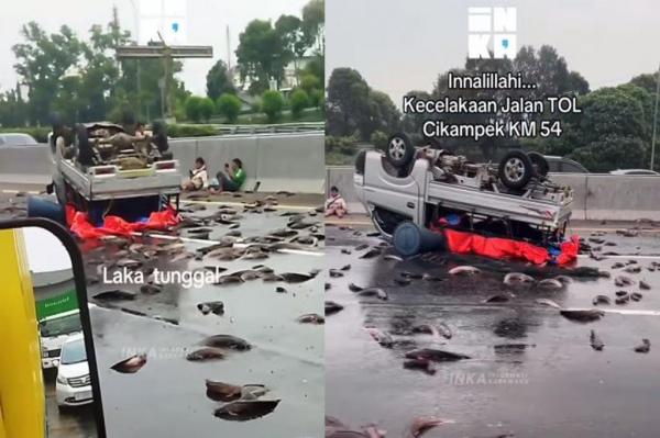 Kecelakaan Pikap hingga Ikan Lele Berserakan di Tol Japek, Netizen: Kang Pecel Bersedih!
