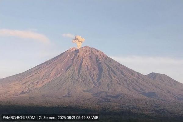 Gunung Semeru 4 Kali Erupsi Pagi Ini, Kolom Abu Capai 1 Km