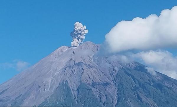 Gunung Semeru Meletus Hari Ini Semburkan Abu Vulkanik 700 Meter, Status Waspada