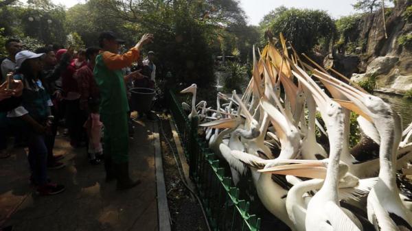 Jadi Tempat Wisata Favorit, Ragunan Dikunjungi Ribuan Orang