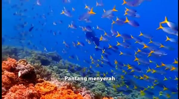 Mars Perindo Versi Terbaru Tunjukkan Keindahan & Keberagaman Indonesia ...