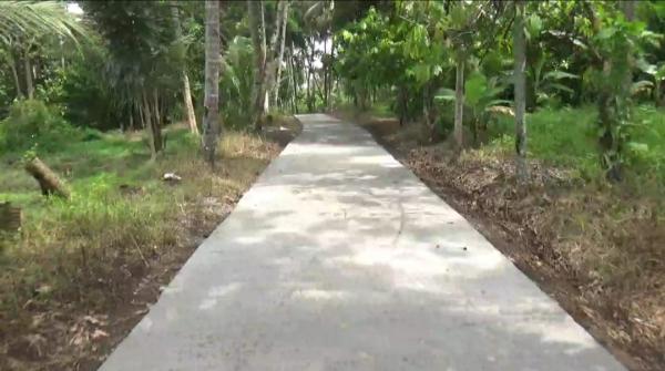 Foto Kegiatan Pembangunan Rabat Beton Untuk Pertanian di Tanggamus