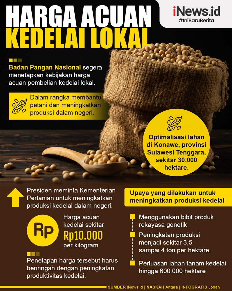 Infografis Harga Kedelai Diperkirakan Normal Akhir Desember 2022 - News+ on RCTI+