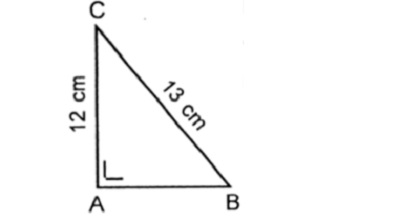Rumus Luas Segitiga: Jenis, Cara Menghitung, dan Contoh Soalnya - News+ ...