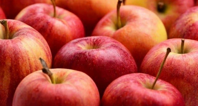 Mengenal Apel Cheongsong Khas Korea, Dibuat Jus Lebih Segar dan Baik ...
