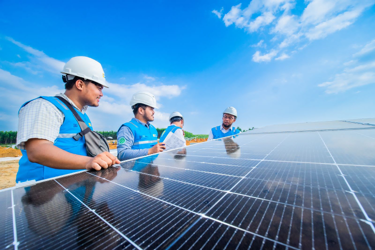 PLN Resmi Operasikan PLTS Ground-Mounted Terbesar di RI, Total ...