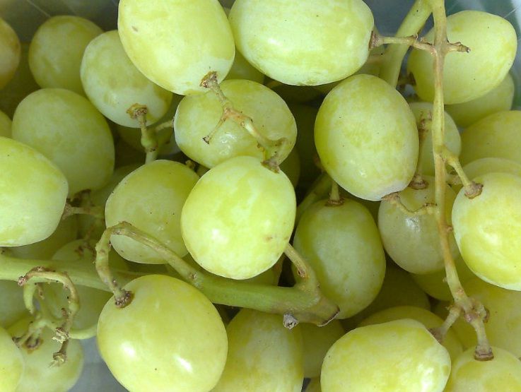 7 Makanan Ini Punya Sejarah Unik, Mulai Tomat Beracun dan Es Loli