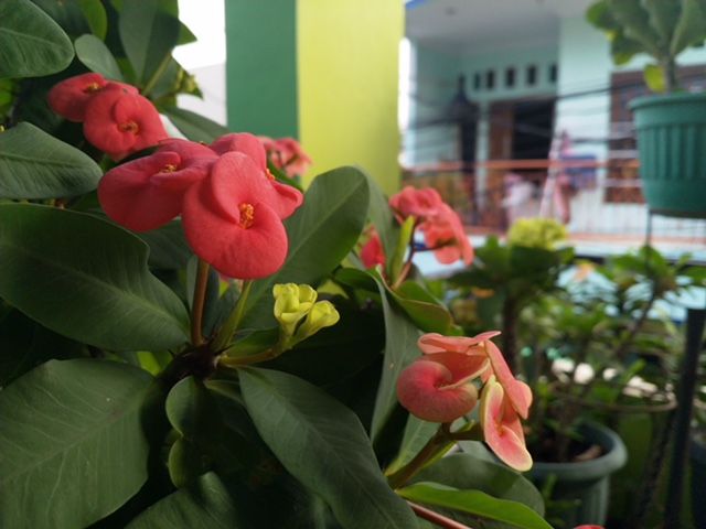 Nokia 8, Ponsel Flagship dengan Daya Tahan Lama