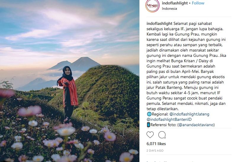 Wisata ke Dieng, Mengintip Bukit Teletubbies di Puncak Gunung Prau