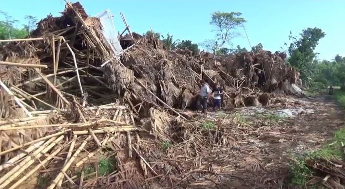 2 Gudang Tembakau PTPN 10 di Jember Ambruk Diterjang Puting Beliung