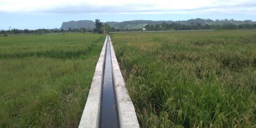 Ini Manfaat Irigasi Perpompaan bagi Petani
