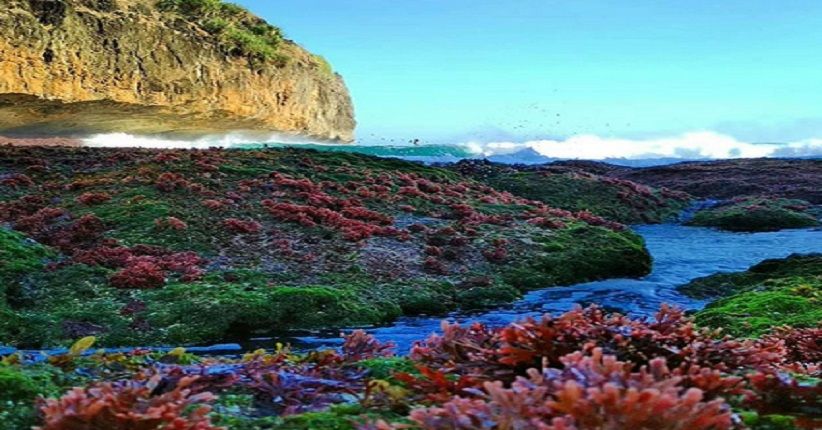 Sembunyi di Antara Tebing Karang, Intip Keindahan Pantai Greweng Yogya