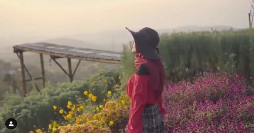 Indahnya Magelang dari Silancur Highland, Berlatarkan Gunung Sumbing