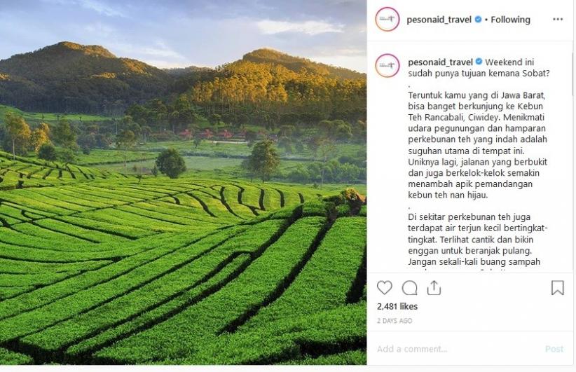 Wisata di Bandung, Asyiknya Jelajahi Perkebunan Teh Rancabali yang ...