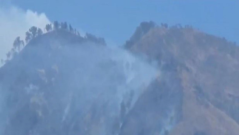 Kebakaran Hutan Di Gunung Wilis Kediri Meluas Jadi 10 Hektare