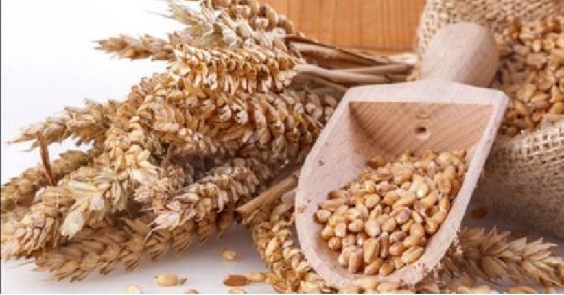 Terapkan Hidup Sehat dengan Gandum, Bisa Cegah Stroke dan Kanker