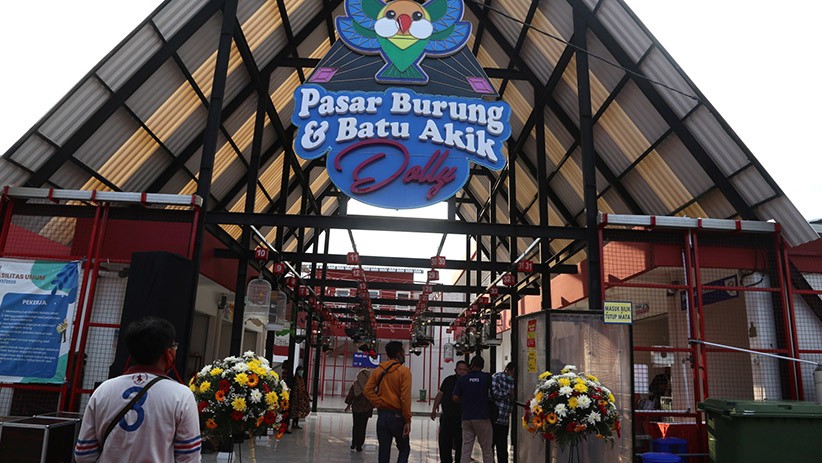 Eks Lokalisasi Dolly Surabaya Disulap Jadi Pasar Burung dan Batu Akik Eks Lokalisasi Dolly Surabaya Disulap Jadi Pasar Burung dan Batu Akik