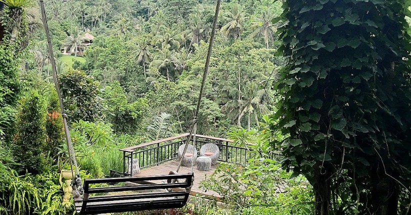 Pesona Desa Swing Bali, Tempat Asri nan Indah Sering Dilirik Wisatawan ...