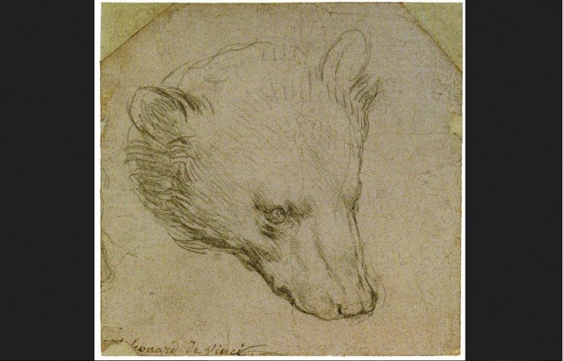 Gambar Kepala Beruang pada Sehelai Kertas Ini Bernilai Rp236 Miliar ...