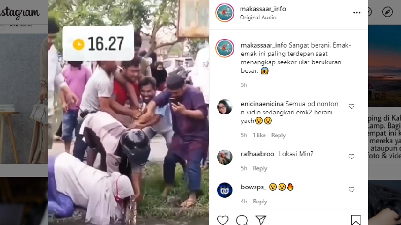Viral, Aksi Emak-Emak Tangkap Ular Besar di Parit Bikin Netizen Melongo