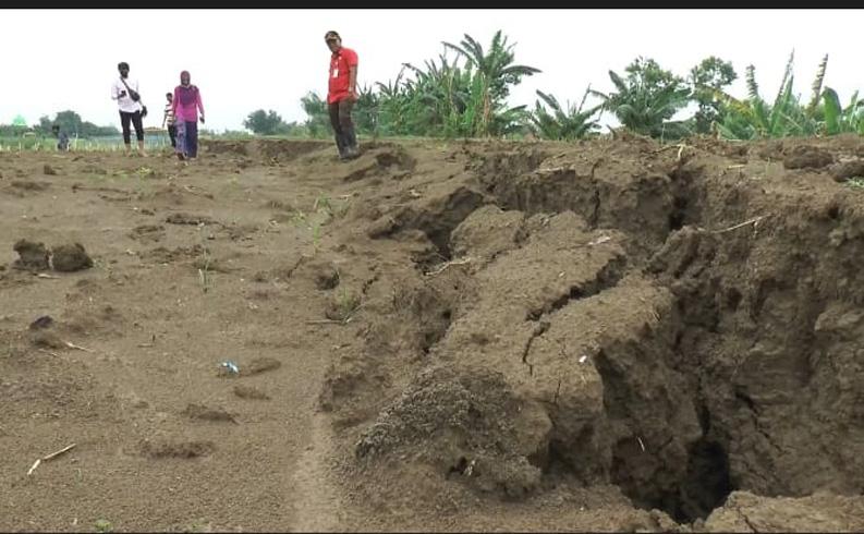 Tanggul Sungai Jragung Amblas, Desa Guntur Demak Rawan Banjir Besar Tanggul Sungai Jragung Amblas, Desa Guntur Demak Rawan Banjir Besar