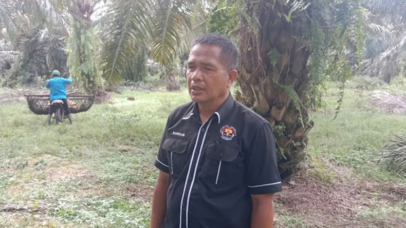 Inspiratif, Anggota Polisi di Agam Punya Kebun Sawit untuk Buka Lapangan Kerja