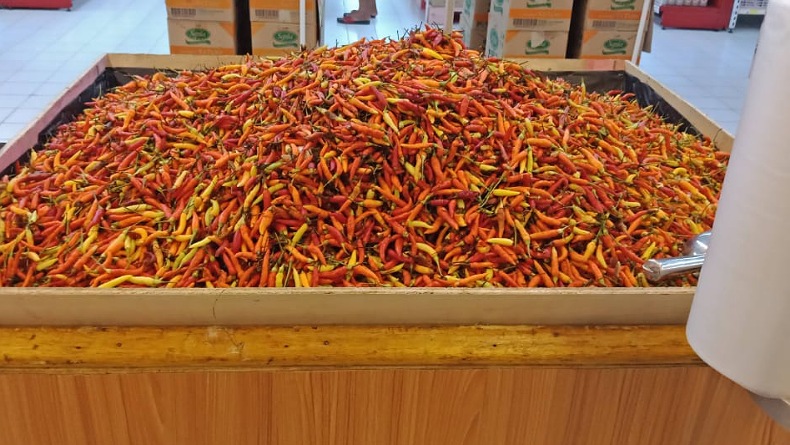 Harga Cabai Rawit Merah Tembus Rp120.000 per Kg, Pedagang Tak Berani Tambah Stok