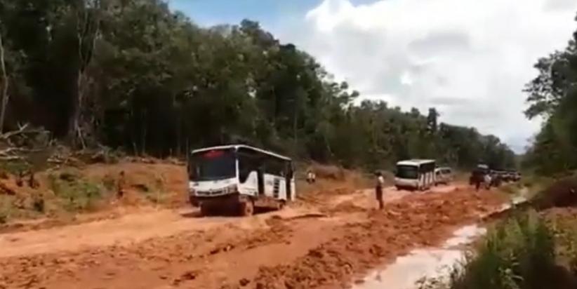 Ini PO Bus Satu-satunya di Papua, Lintasi Jalan Ekstrem dan Rawan Kelompok Bersenjata