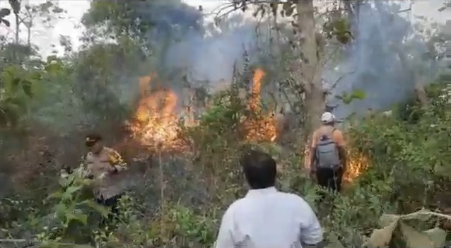 3 Hektare Tanaman Jati Muda di Tuban Terbakar, Diduga akibat Puntung Rokok