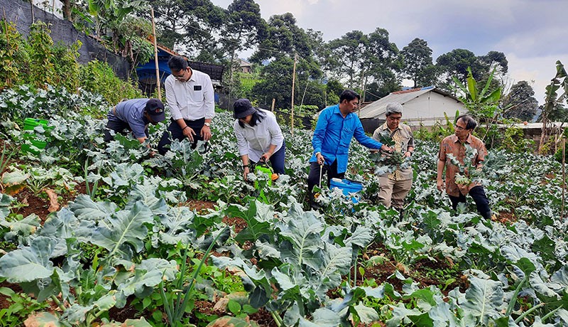 Astra melalui YDBA Launching Program Pembinaan UMKM Pertanian di Puncak Dua
