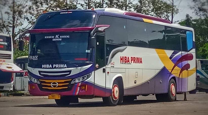 Tak Banyak yang Tahu, 16 PO Bus Ini Ternyata Anak Perusahaan Hiba Group ...