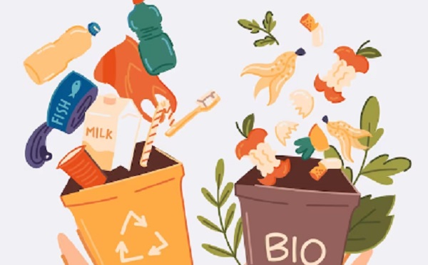 Contoh Limbah Organik, Pengertian dan Cara Memanfaatkannya Lengkap