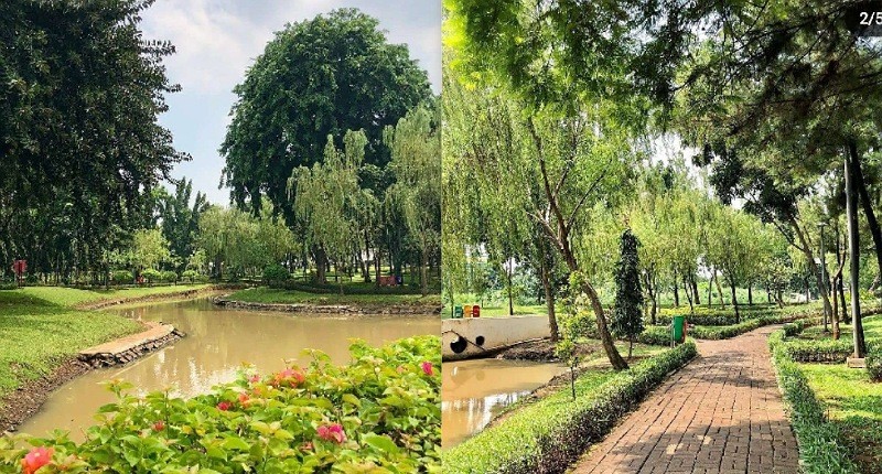 Ide Tempat Ngabuburit dengan Suasana Taman di Jakarta, Pepohonan ...