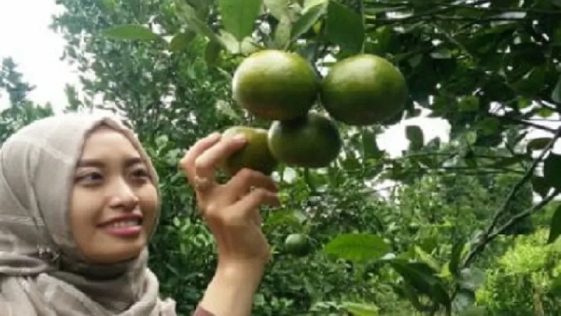 Makanan Khas Garut, Ternyata Banyak Bukan hanya Dodol