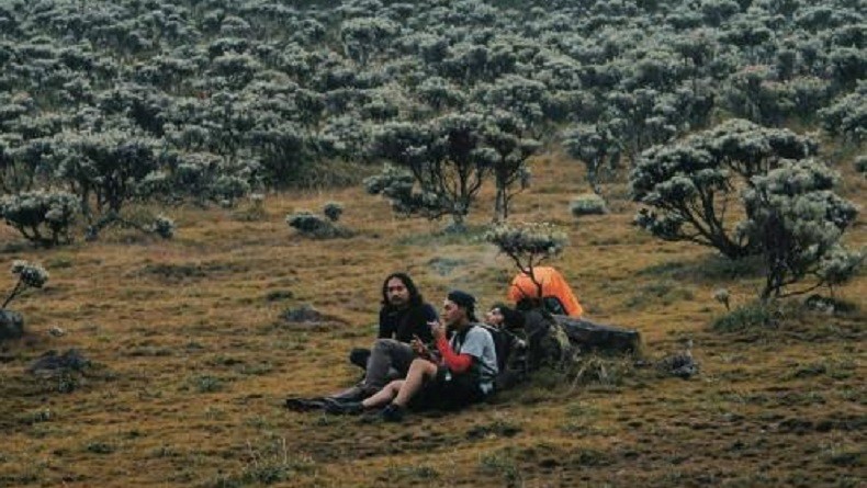 8 Fakta Gunung Gede Pangrango, Nomor 7 Surganya Nikmati Alam Pegunungan - Bagian All