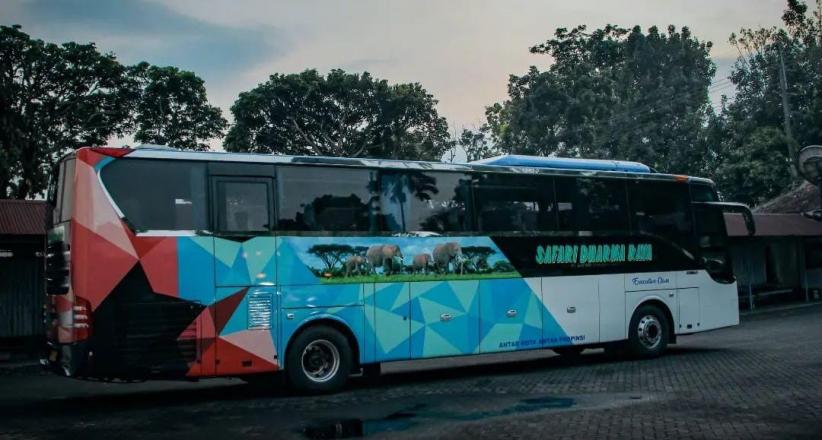 PO Safari Dharma Raya Rilis Bus Becak Balap dengan Rombakan Pakai ...
