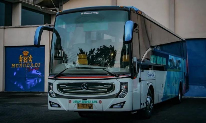 PO Safari Dharma Raya Rilis Bus Becak Balap dengan Rombakan Pakai ...